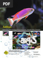 Anatomía de Aletas en Peces | PDF | Cordados | Pescado