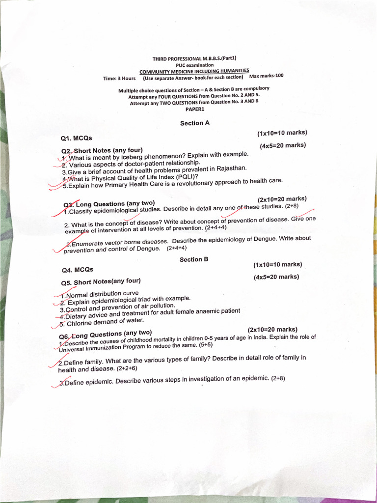 2024 puc question paper | PDF