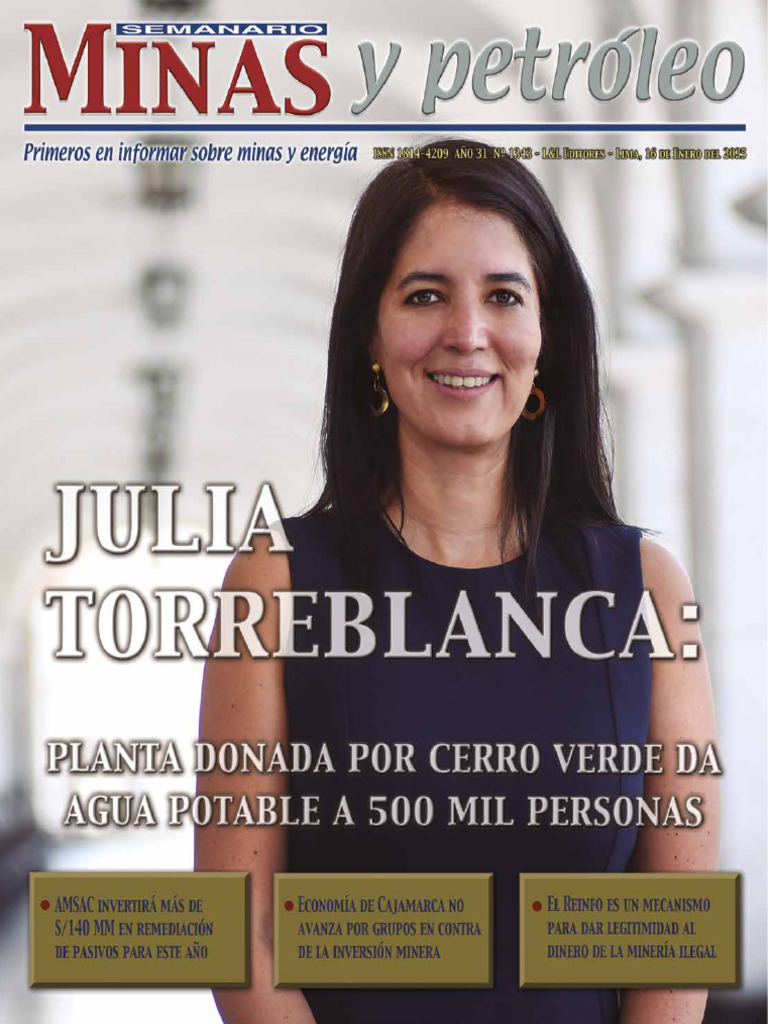 Minas y Petroleo 1343 | PDF | Minería | Cobre