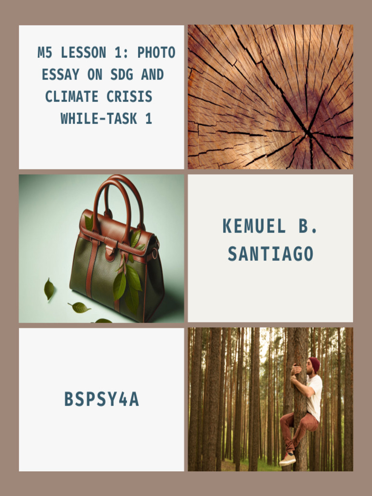 M5 Lesson 1 Photo Essay On SDG and Climate Crisis | PDF | Economies ...