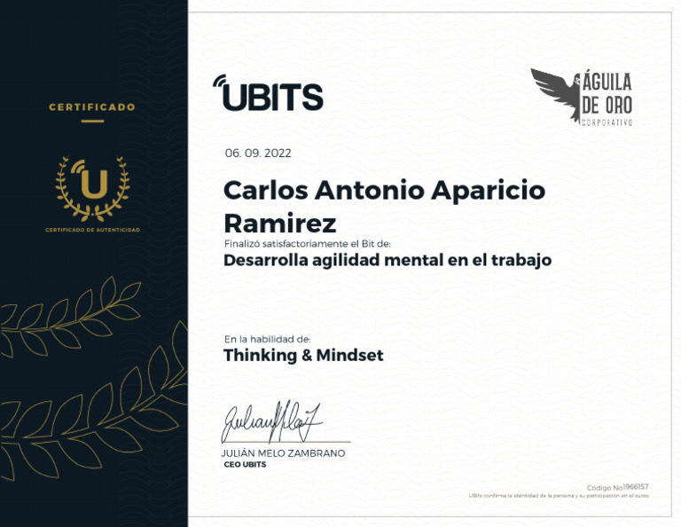 4 - Mind - Power - ReprogrÃ¡mate - para - Ser - Exitoso - Certificado | PDF