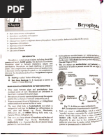 Riccia: Morphology and Life Cycle | PDF | Sexual Reproduction ...