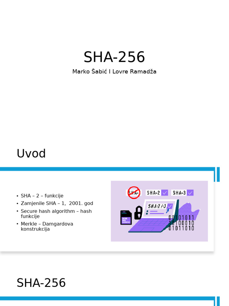 Sha 256 | PDF