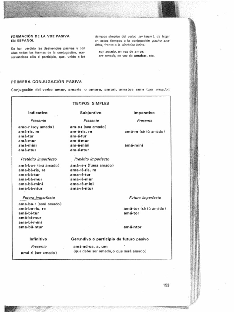 PRIMERA CONJUGACIÓN (1) | PDF