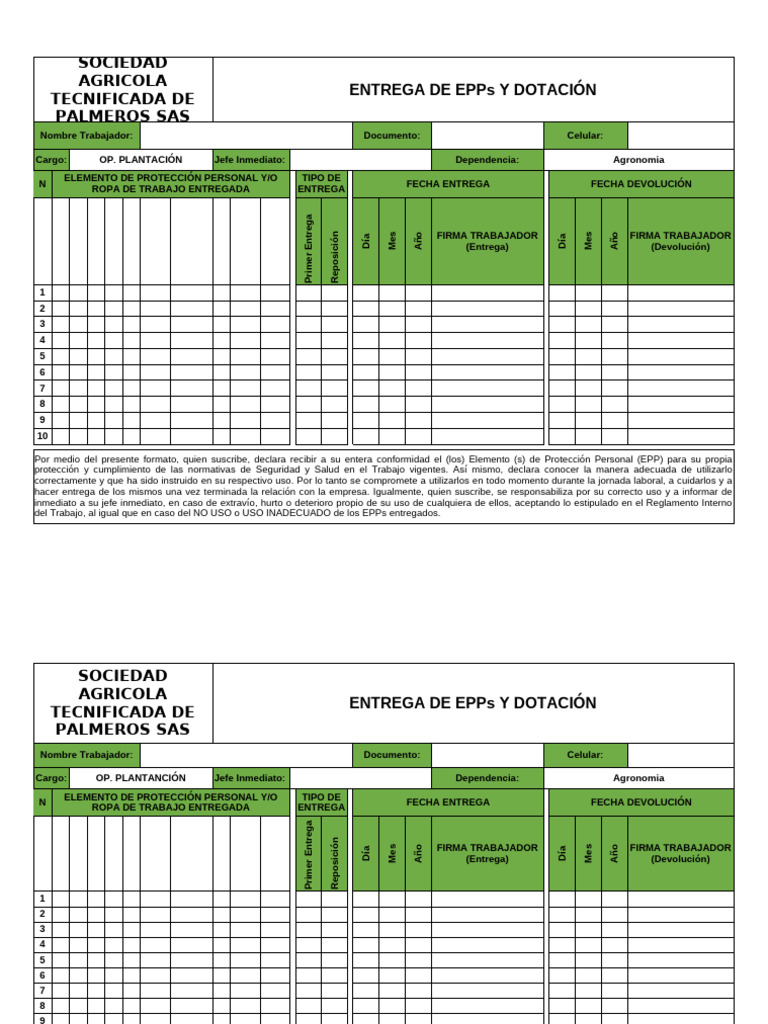 Formato de Entrega de Epp | PDF
