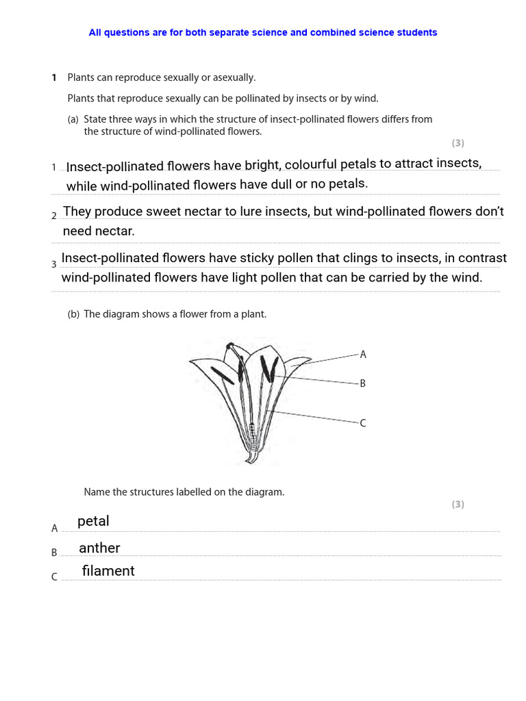 Kami Export - Reproduction 1 QP | PDF | Petal | Flowers