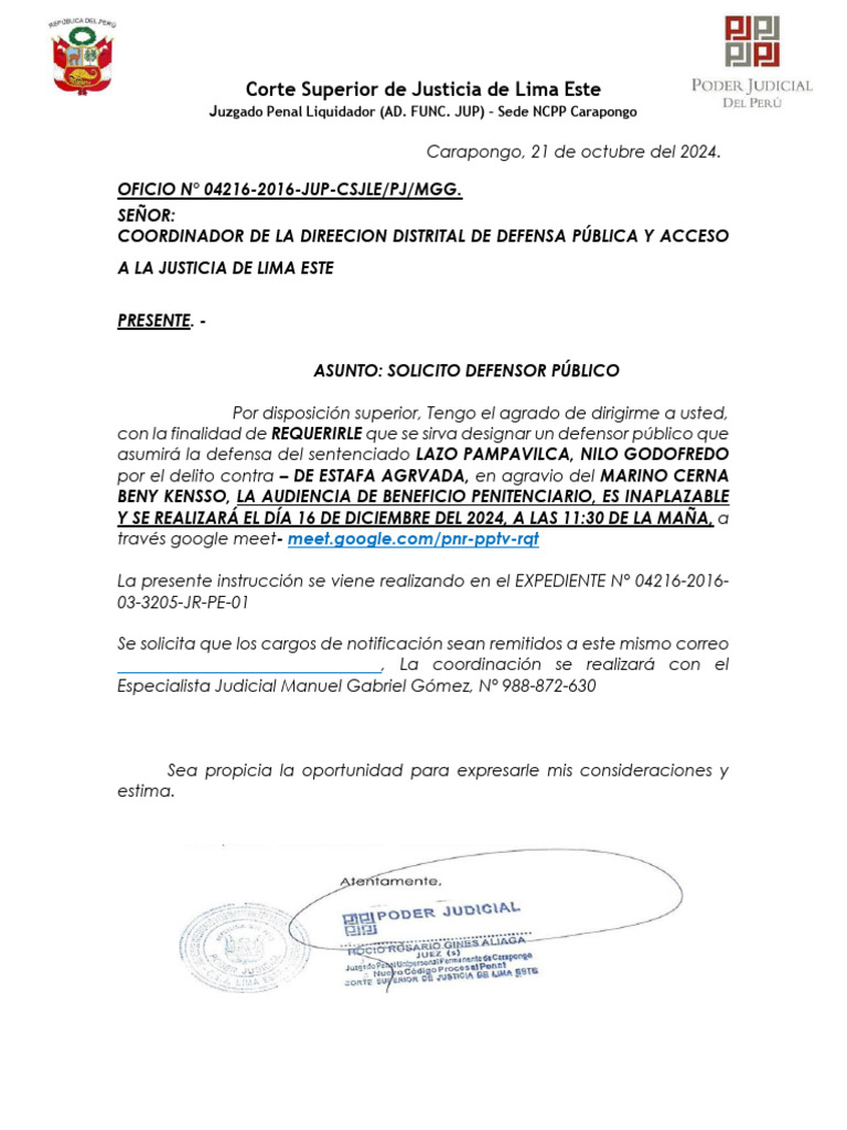 Defensor Publico | PDF