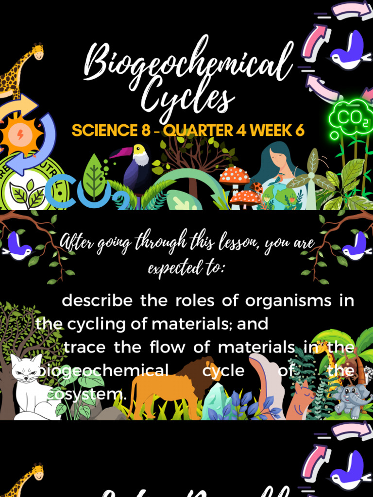 Biogeochemical Cycles | PDF