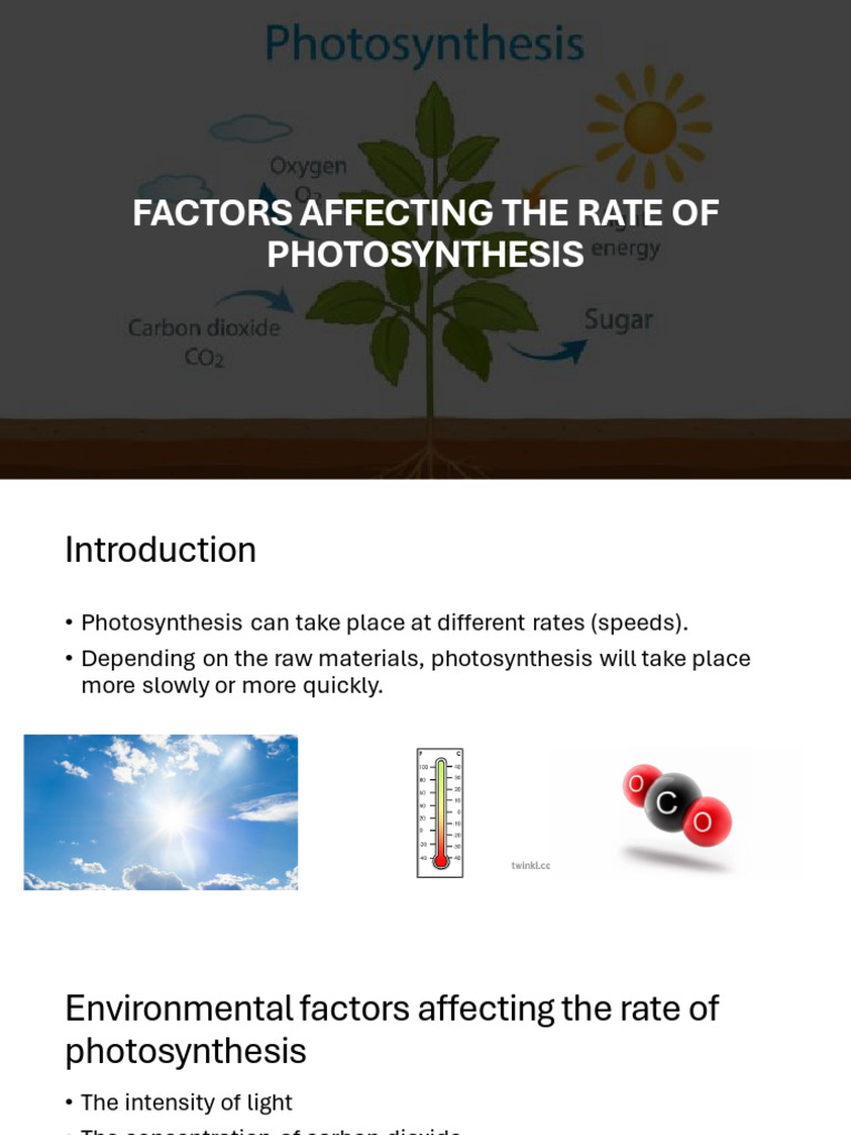 Factors Influencing Photosynthesis Rates | PDF | Photosynthesis ...
