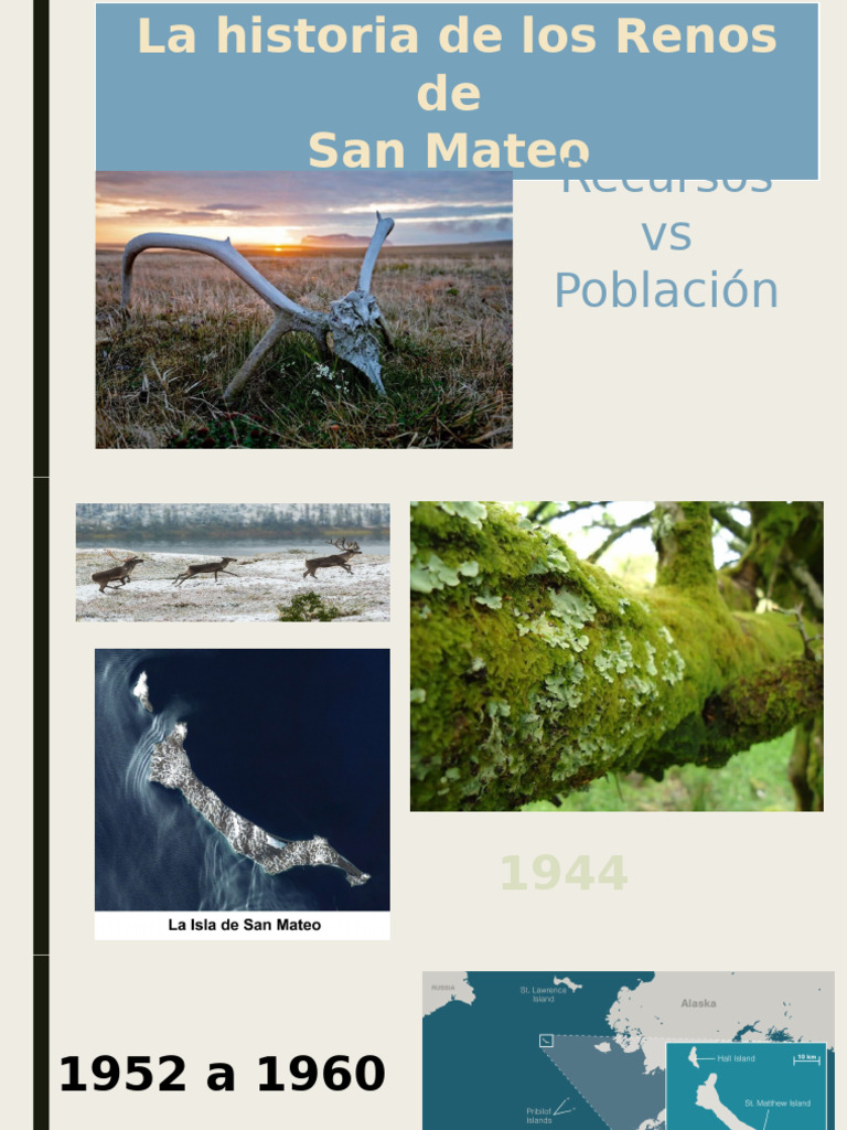 Historia de los Renos en San Mateo | PDF