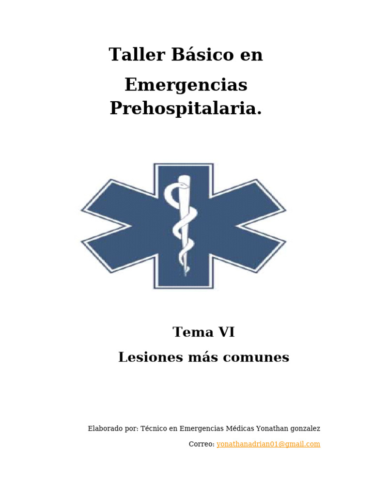 6 Leciones Mas Comunes | PDF | Quemar | Herida