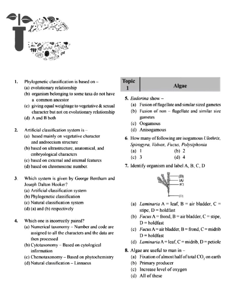 Plant Kingdom Most Important Questions | PDF | Reproduction | Botany