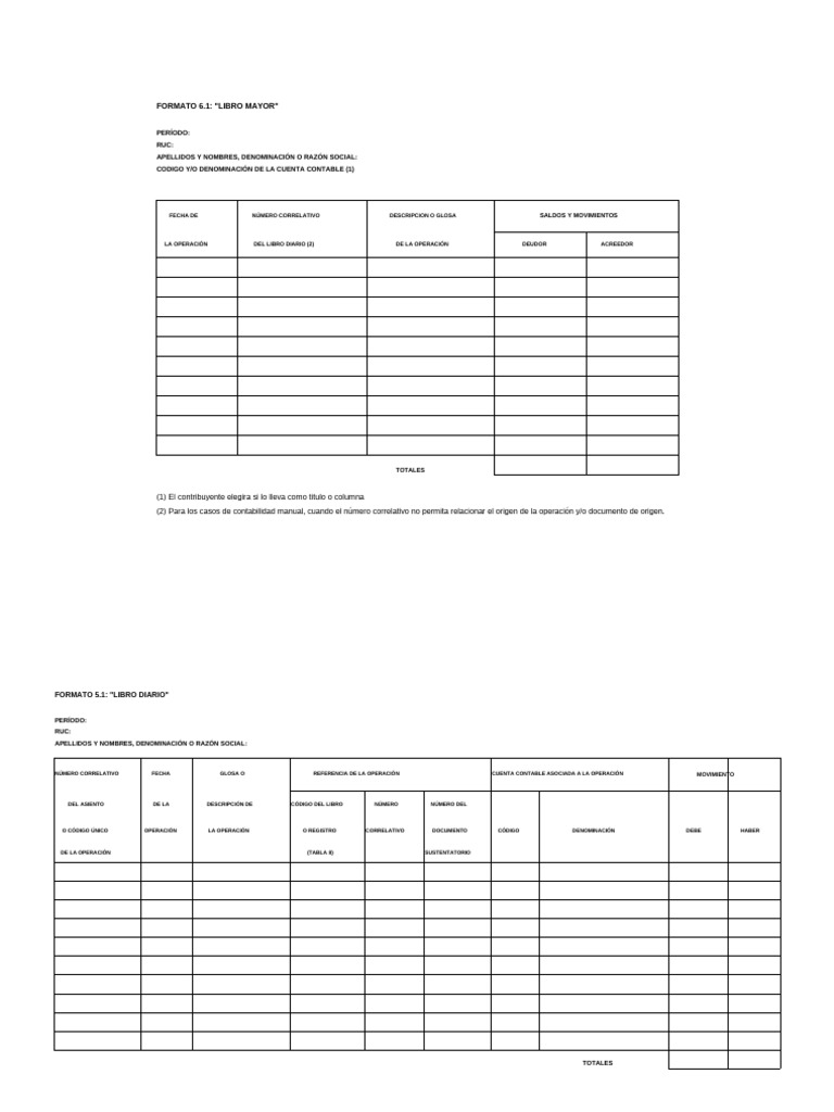 Formatos de Libros y Registros Contables Principales | PDF | Contabilidad