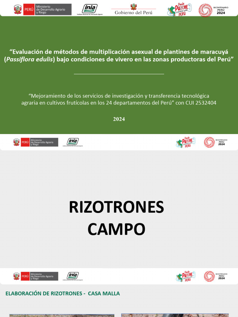 RIZOTRONES CAMPO.pptx | PDF