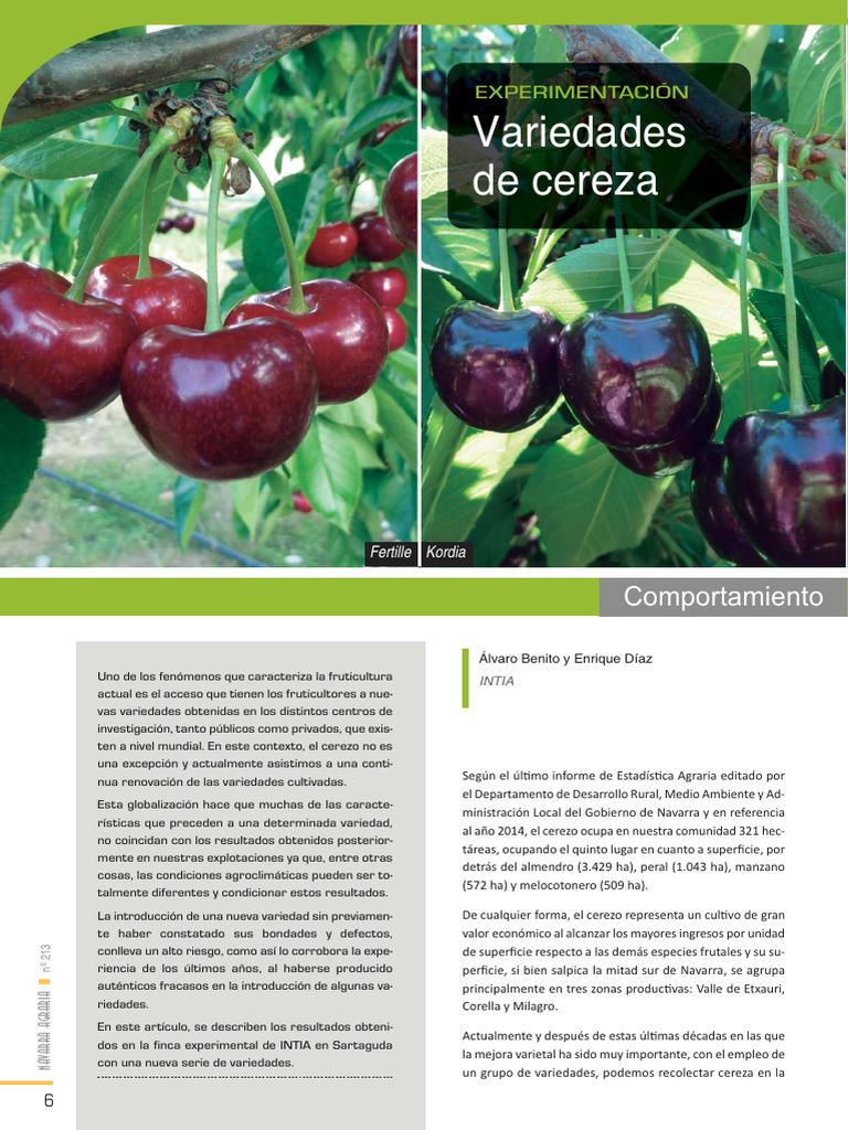 213-cereza | PDF | Cereza | Flores