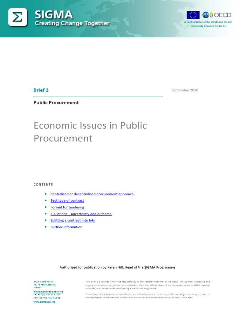 Public Procurement Policy Brief 2 200117 | PDF | Procurement | Incentive