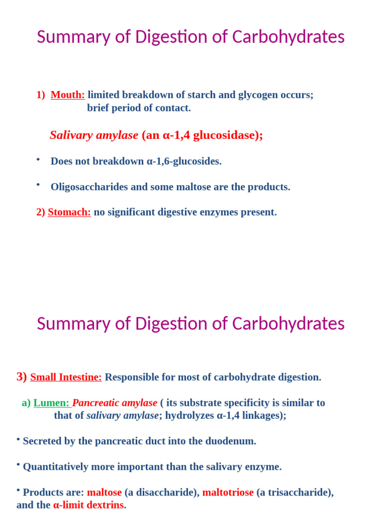 Carbohydrate Digestion Overview | PDF