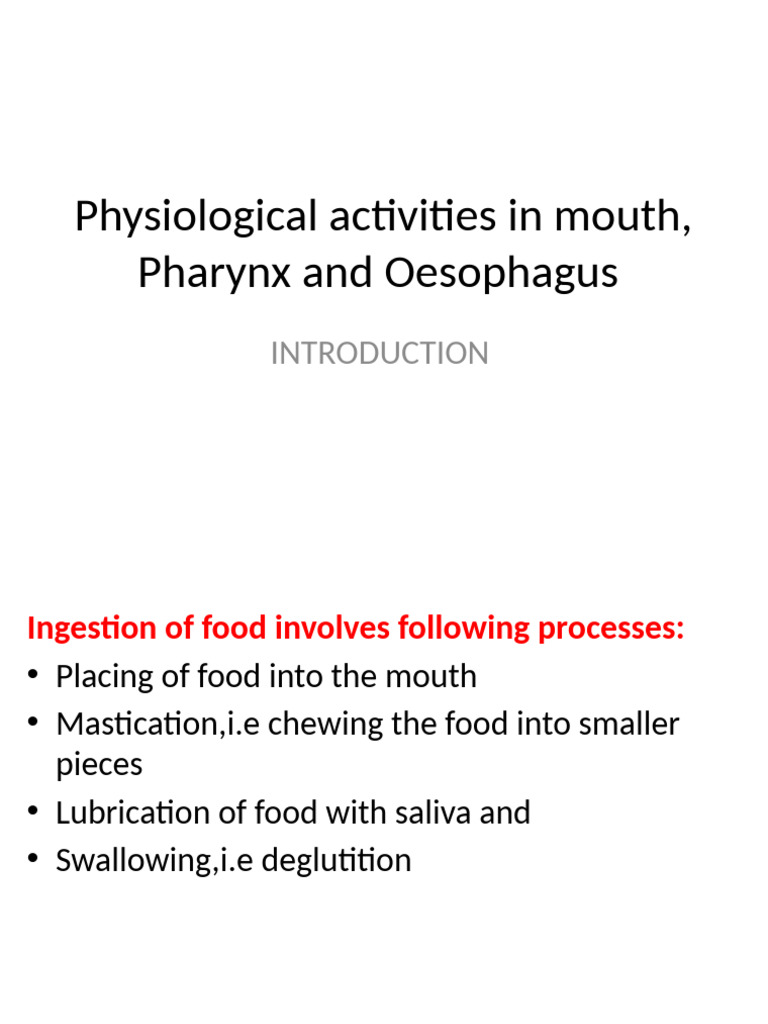 2.Saliva,Mastication | PDF | Saliva | Animal Anatomy