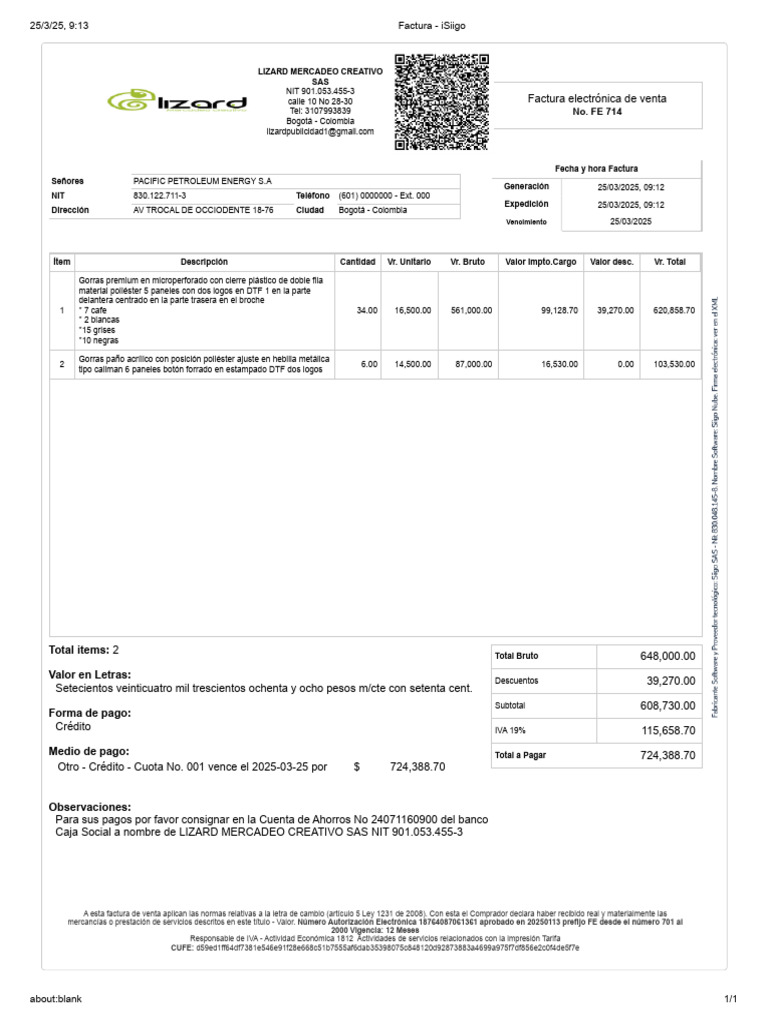 Factura Gorras | PDF