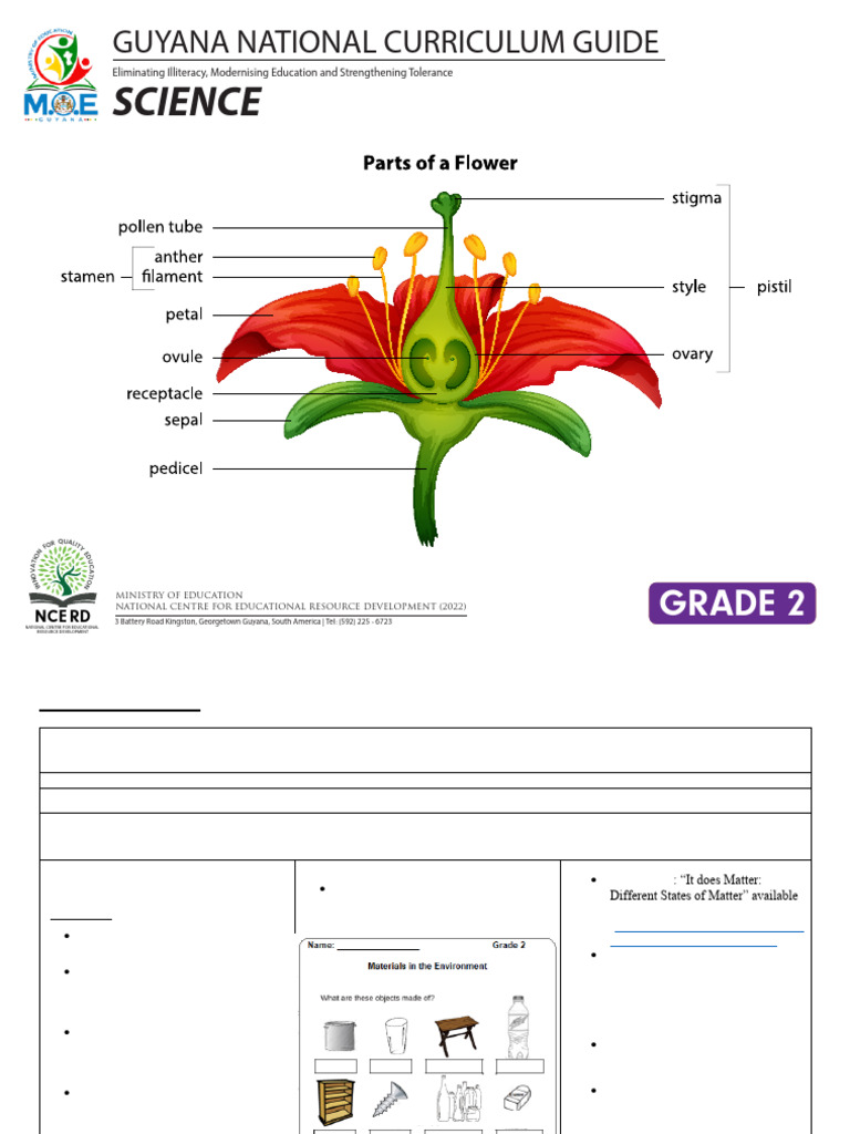 Science Curriculum Guide Grade 2 | PDF | Learning | Science