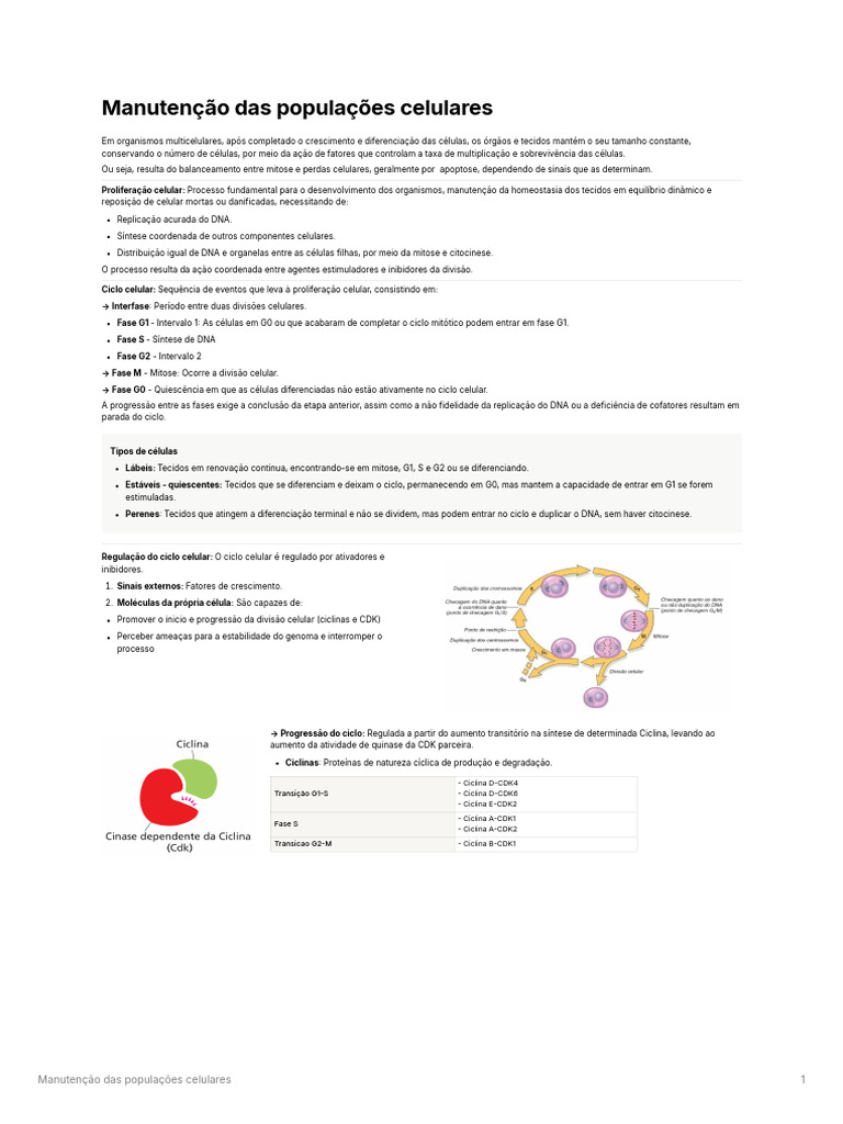 Regulação do Ciclo Celular e Proliferação | PDF | Ciclo de célula ...