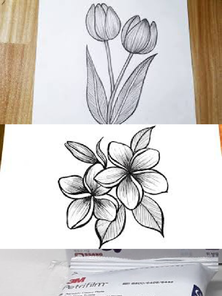 Pdf24 Converted 4 | PDF