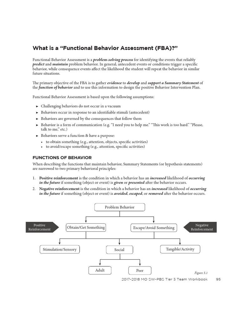 Functional Behavioural Assessment Information Sheet | PDF | Cognitive ...