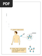 Human Digestive System Flow Chart | PDF | Digestion | Stomach