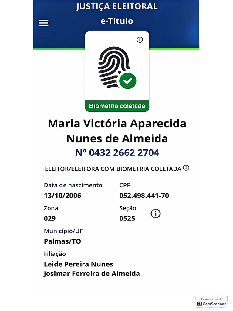 Título Eleitoral | PDF