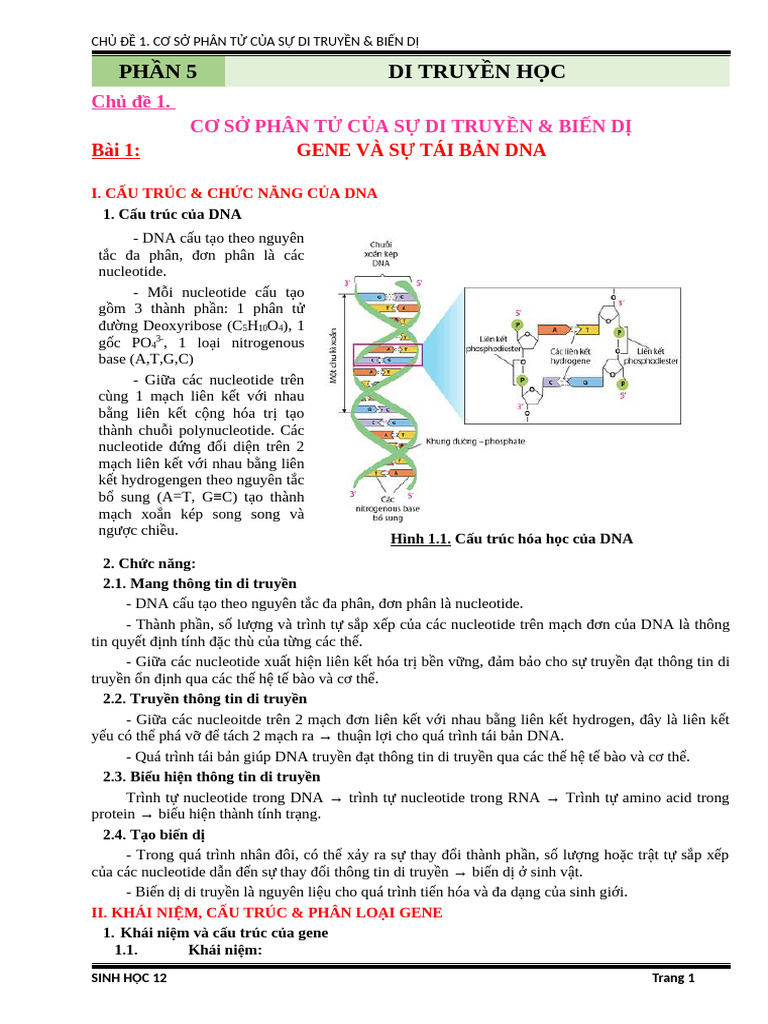 Chủ Đề 1 - LT - (Sinh 12) | PDF