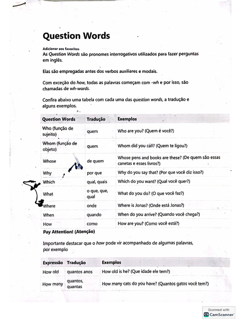 Question Words | PDF