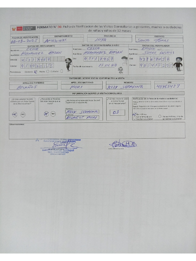 Fichas de Verificacion - Ps. Llactapampa | PDF