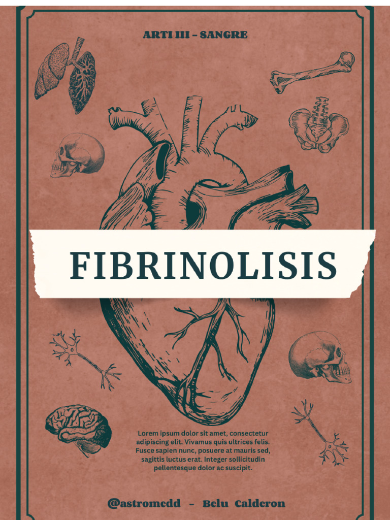 N5 - Sangre: Fibrinolisis | PDF | Coagulación | Hemostasia