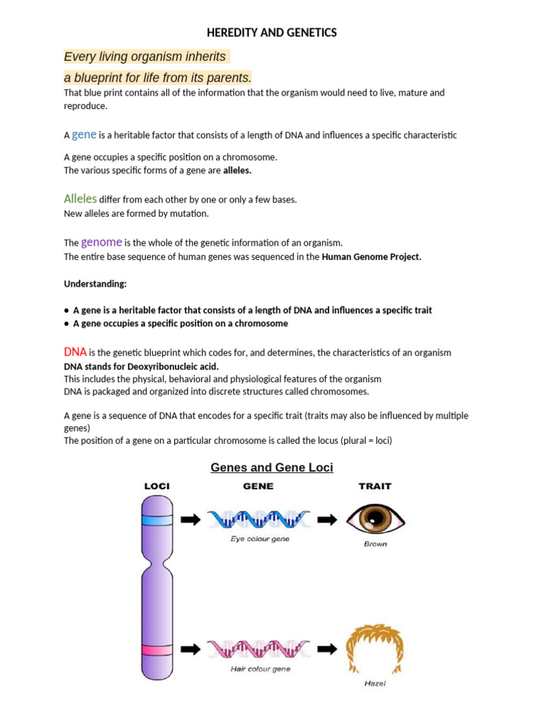Understanding Heredity and Genetics | PDF | Dominance (Genetics) | Allele