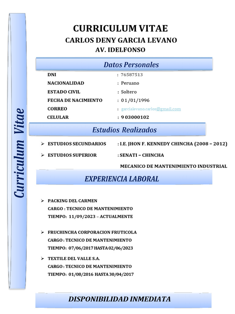 Curriculum Vitae | PDF