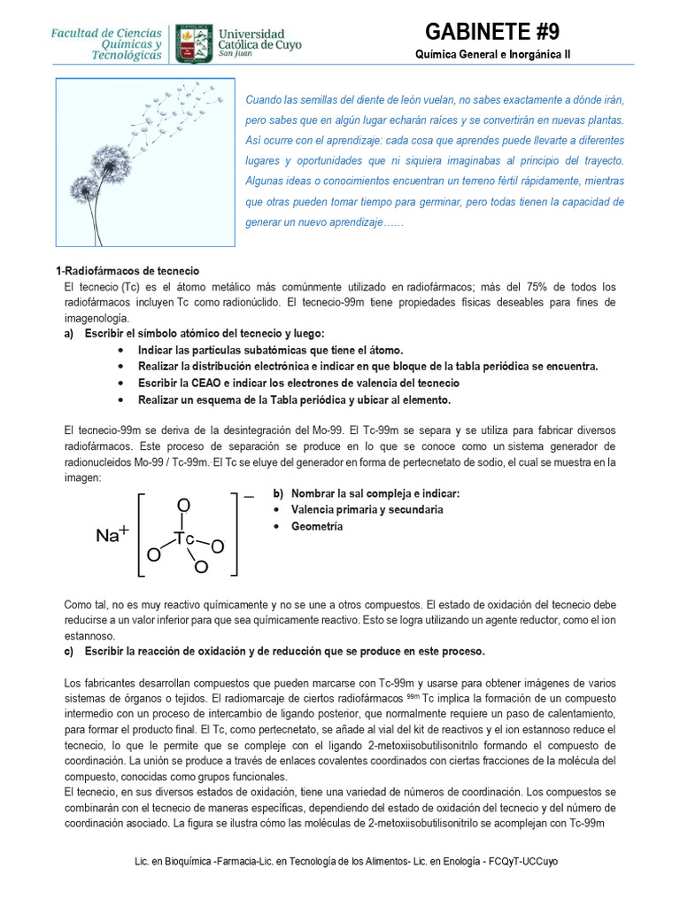 GABINETE #9- La recta Final | PDF | Compuestos químicos | Redox