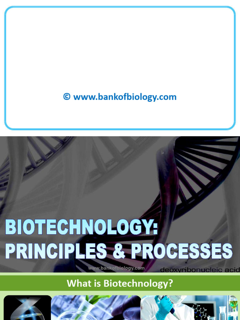 11 Biotechnology Principles N Processes - PPSX | PDF | Molecular Cloning | Recombinant Dna