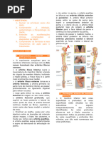 11 - Região Poplítea | PDF | Joelho | Anatomia humana