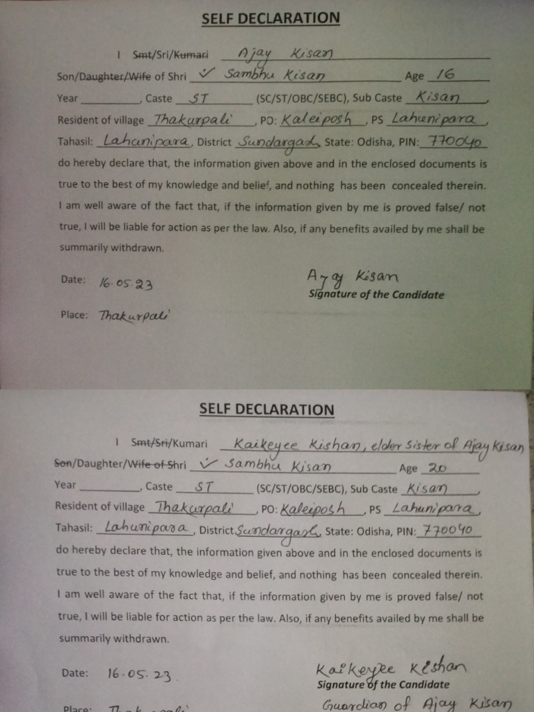 Declaration Format | PDF