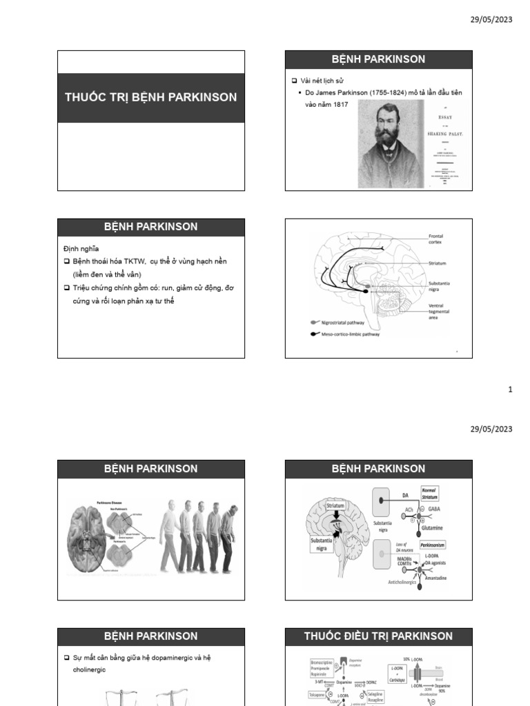 Thuoc Dieu Tri Parkinson Va Chong Dong Kinh | PDF