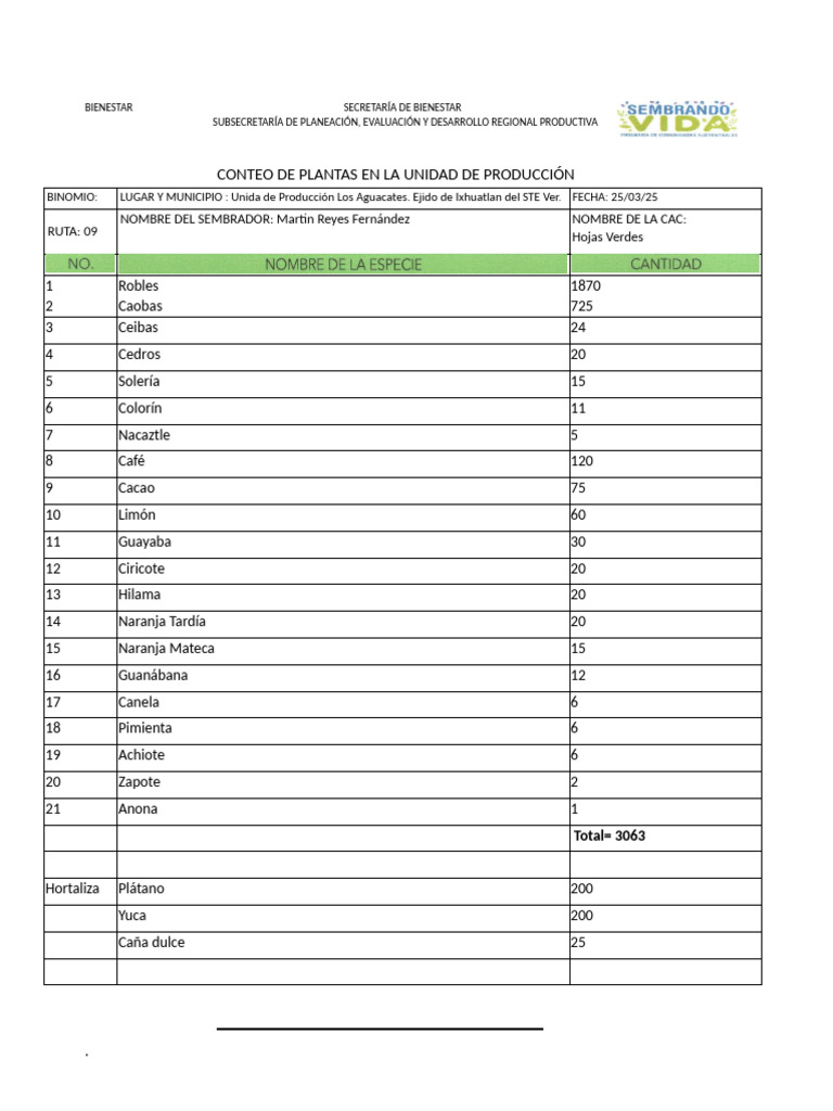 Formato para El Conteo de Plantas | PDF | Agricultura | Cultivos