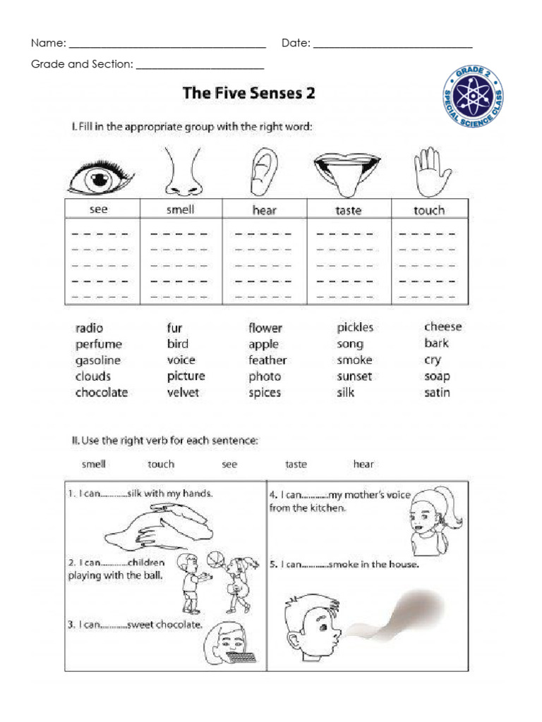 Q1, L2, Worksheet, Science Processes-Observing | PDF