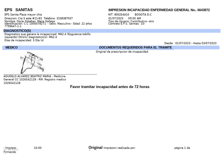 Fui Fui | PDF