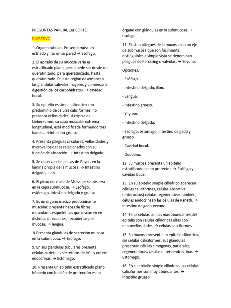 BANCO 1ER CORTE - histo 3 | PDF | Sistema circulatorio | Epitelio