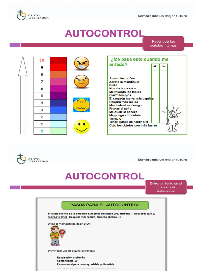 AUTOCONTROL | PDF