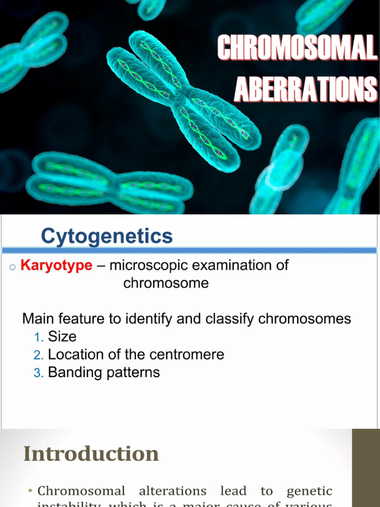 CHROMOSOMAL-ABERRATIONS | PDF