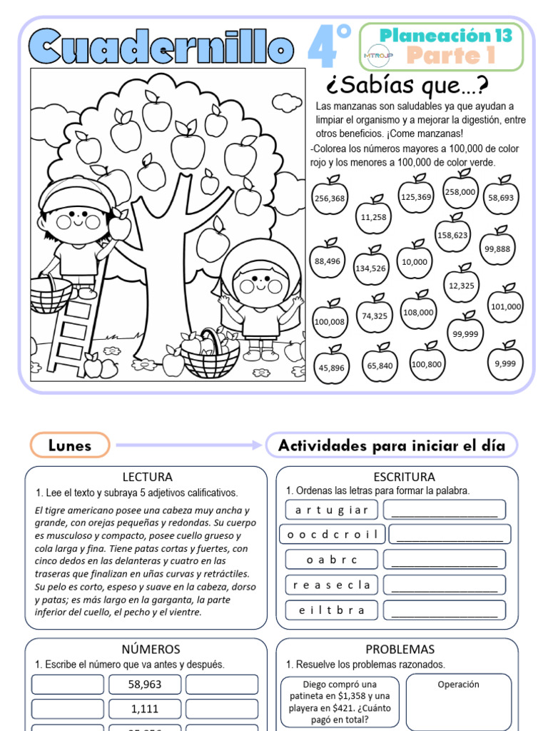 Cuad Parte 1 4° | PDF | Carne | Herbívoro