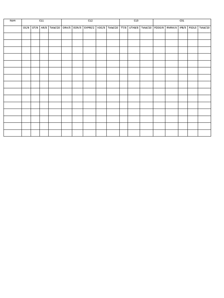 Nom C11 C12 C13 C31 OC/6 OT/6 AR/8 Total/20 ORA/5 ECRI/5 EXPRE/2 VOC/8 ...