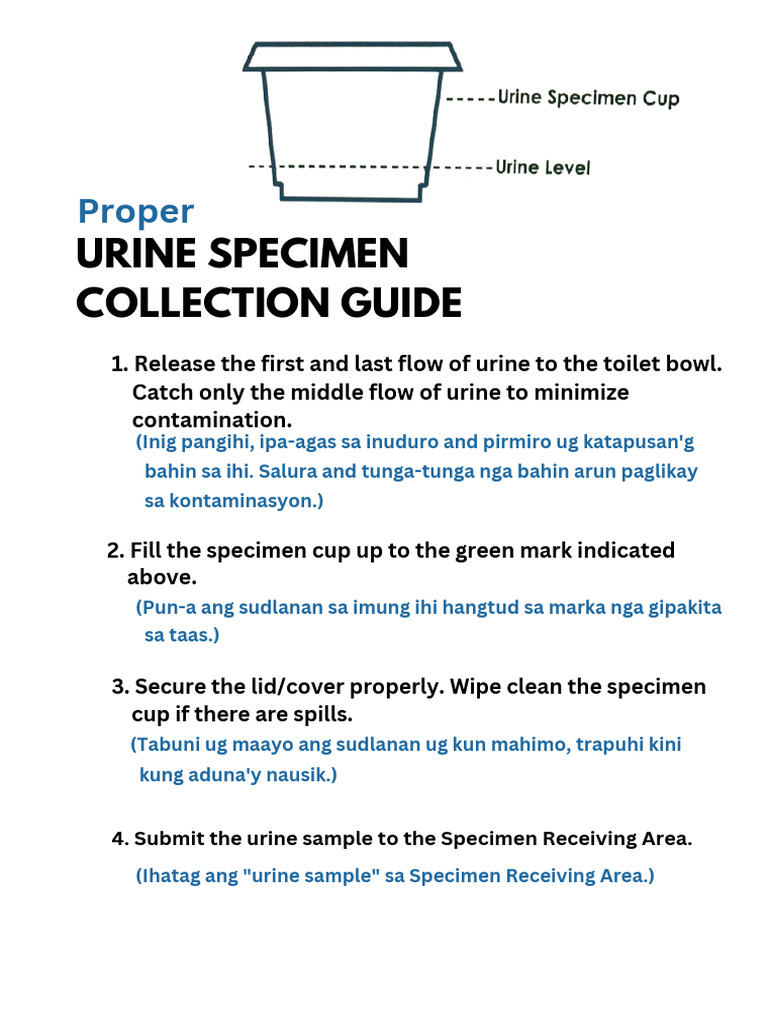 Urine Specimen Collection Guide | PDF