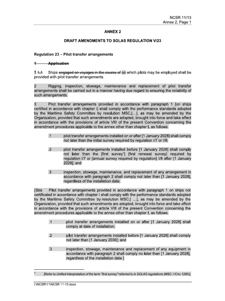 Pilot Ladder Draft IMO Resolution | PDF